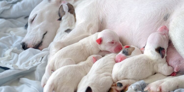 Body Discovered on Scioto Trail – Scioto County Daily News