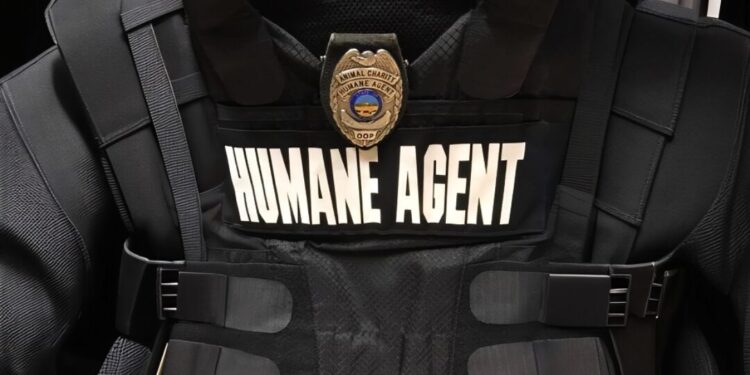 5 Dangerous Apps Used By Child Predators – Scioto County Daily News